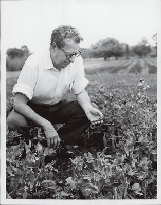 Organic Farming Pioneer Rodale Institute Expands Its Mission into ...