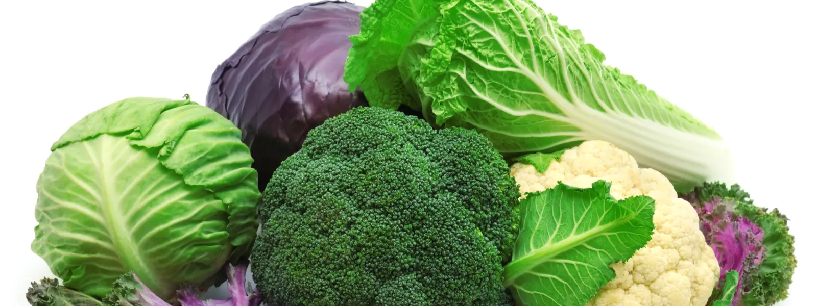 Research Reveals Vegetable Molecule Might Improve Autism Symptoms ...