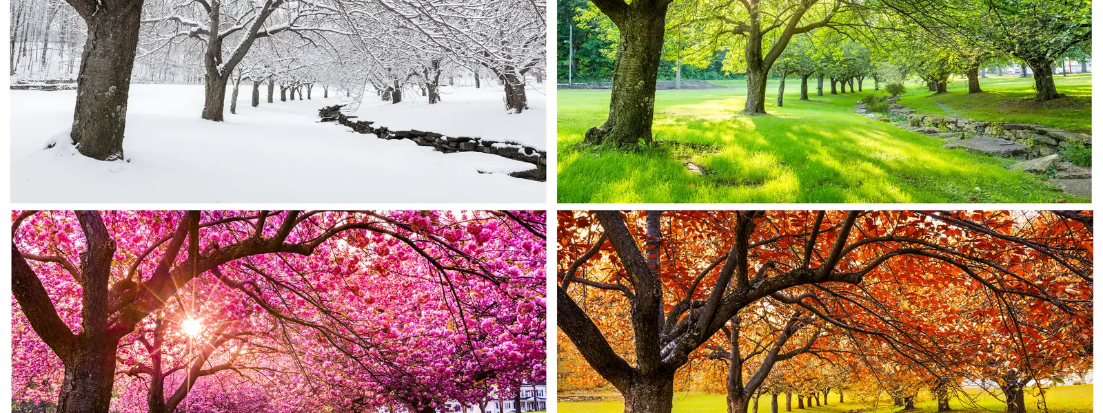How the Change in Seasons Affects Your Health | KnoWEwell