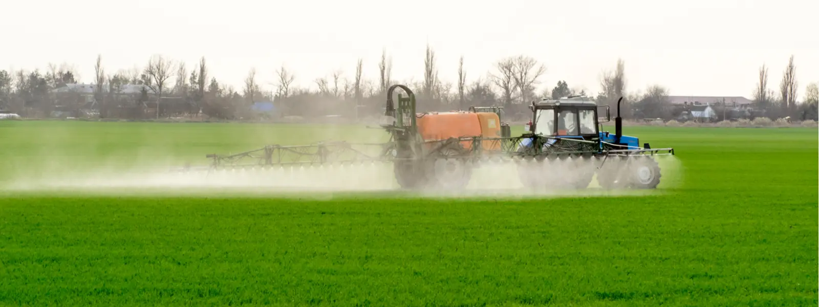 Glyphosate and Your Health | KnoWEwell