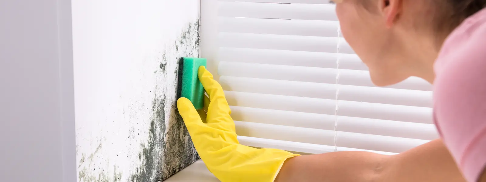 The Hazards of Mold Toxicity | KnoWEwell