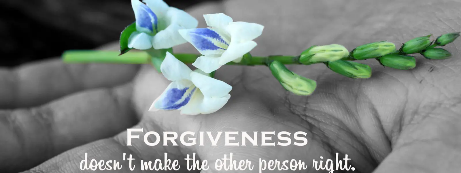 How Forgiveness Improves Physical Health + How to Achieve It | KnoWEwell