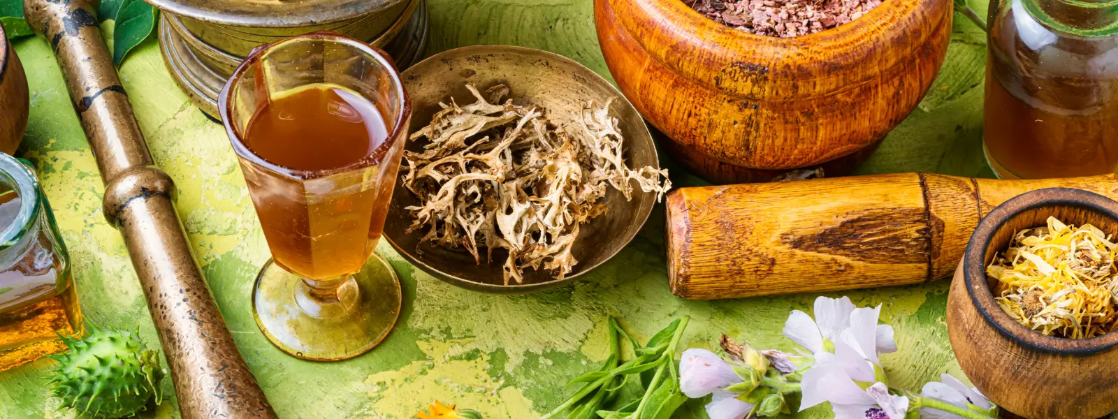 Understanding Naturopathic Medicine: A Holistic Approach to Health and ...