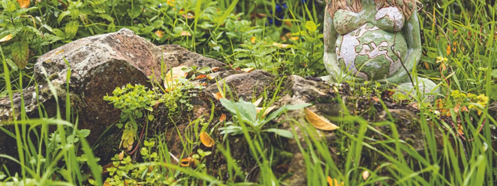 Connecting to Sentient Earth | KnoWEwell