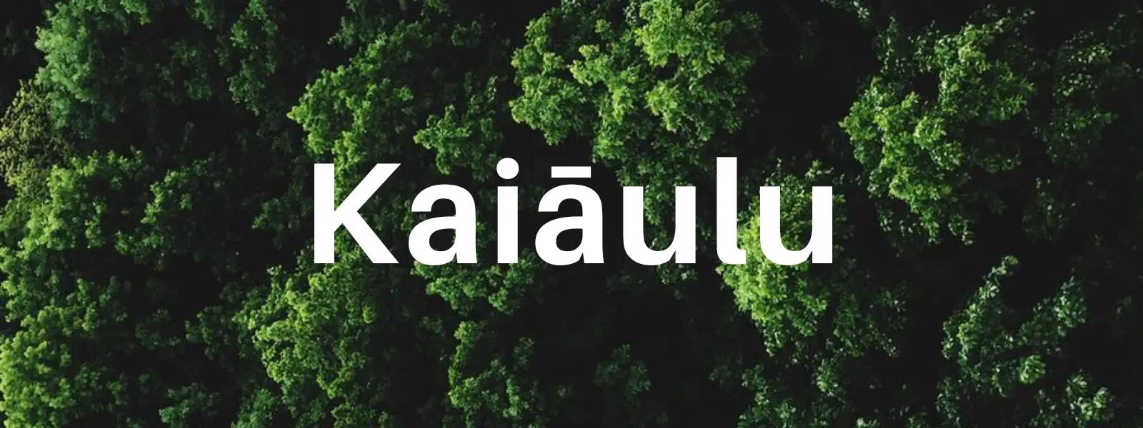 A Kaiāulu Event: June Solstice Ceremony | KnoWEwell